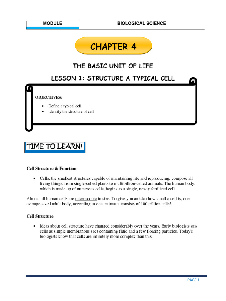 Understanding Cell Structure and Function | PDF | Cell (Biology) | Cell ...
