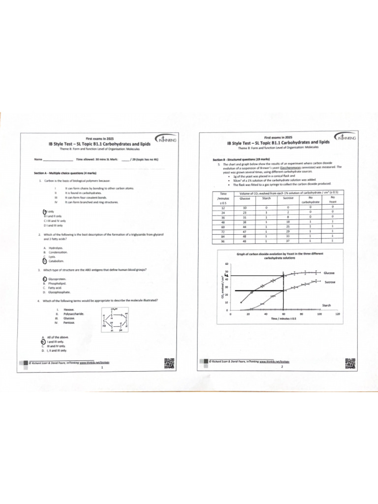 IB Test: Carbohydrates vs. Lipids | PDF