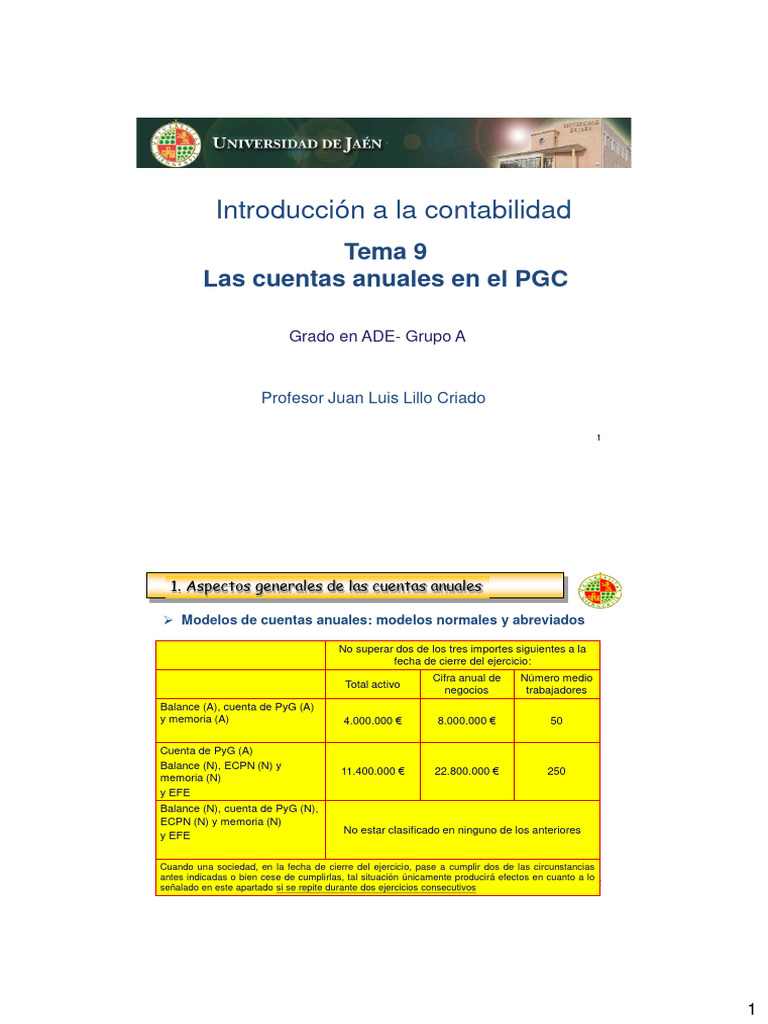 Tema 9. Las Cuentas Anuales en El PGC (DIAPOSITIVAS) | PDF