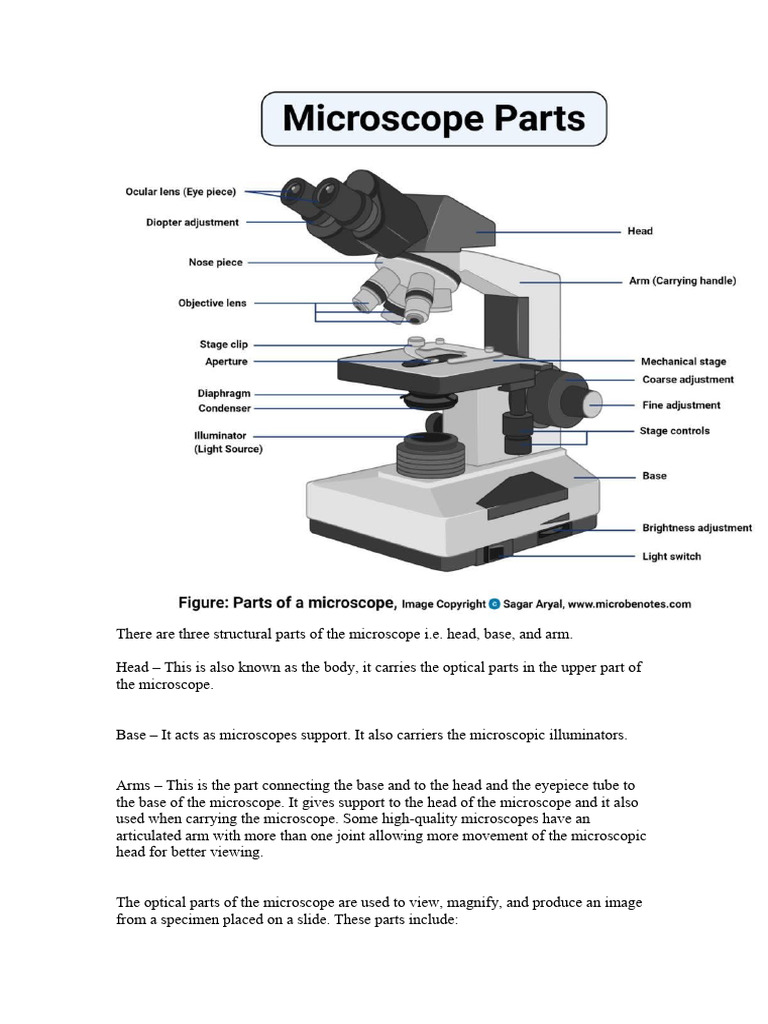 The Microscope | PDF | Electromagnetic Radiation | Electrodynamics