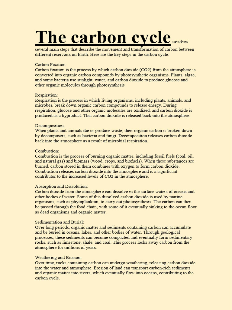 The Carbon Cycle Handout | PDF | Carbon Cycle | Carbon Dioxide