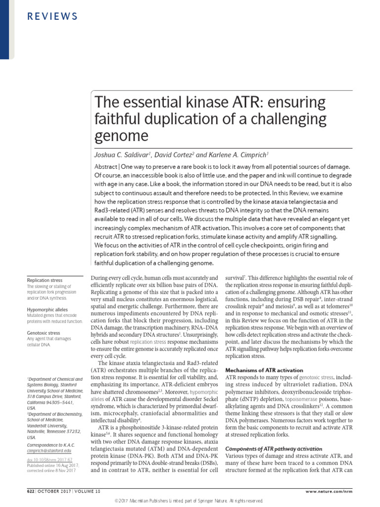 ATR's Role in DNA Replication Stress | PDF | Dna Replication | Dna