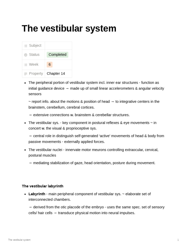 The Vestibular System | PDF | Vestibular System | Cerebellum