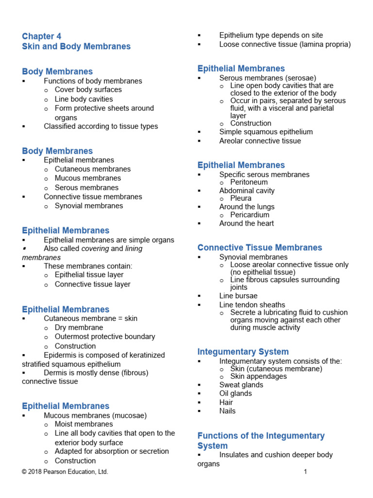 CH - 04 - Lecture - Presentation Integu Skin | PDF | Skin | Integumentary System