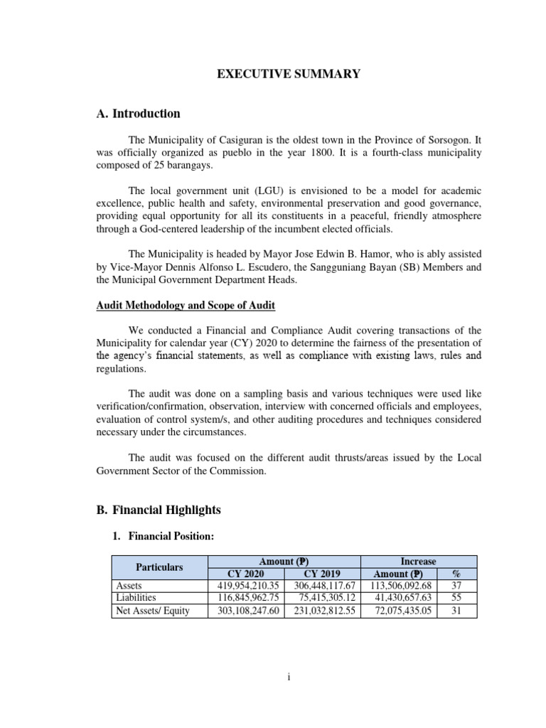Casiguran Executive Summary 2020 | PDF | Audit | Inventory