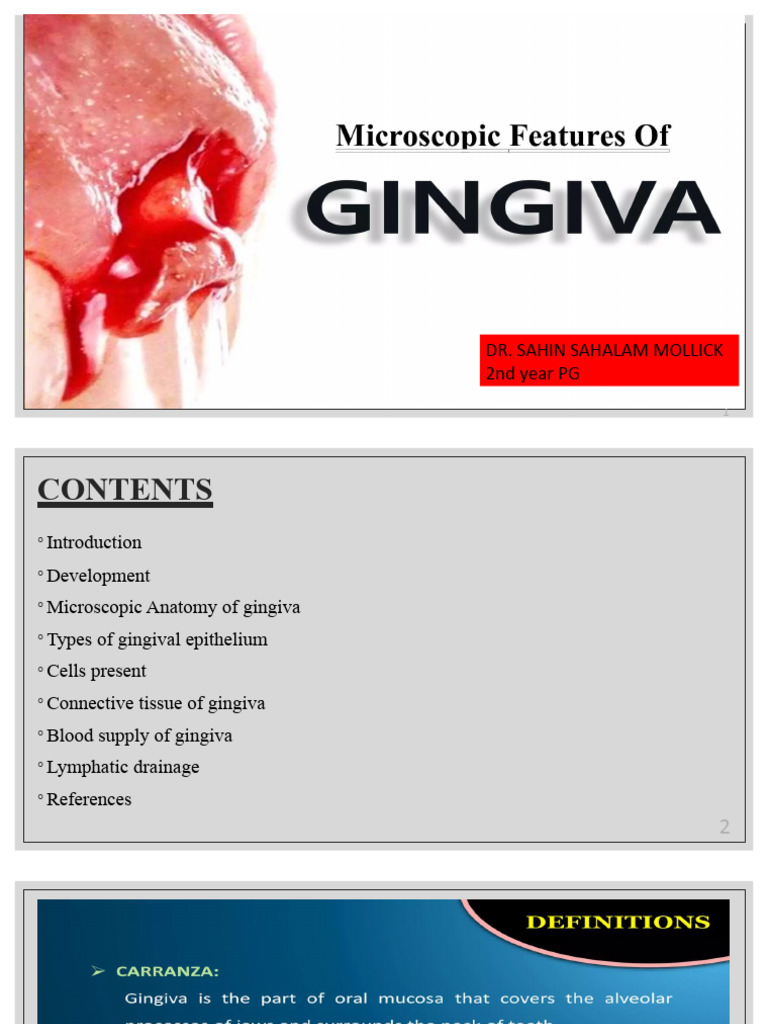 Microscopic Anatomy of Gingiva | PDF | Epithelium | Connective Tissue
