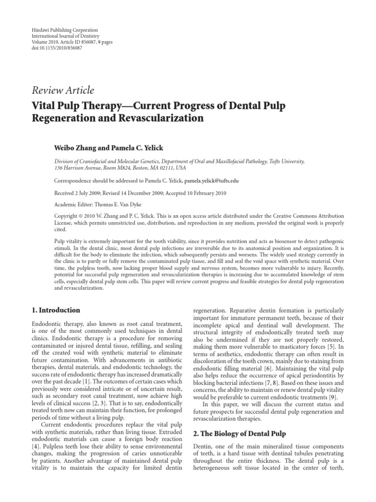 Vital Pulp Therapy-Current Progress of Dental Pulp | PDF | Dentin ... Vital Pulp Therapy-Current Progress of Dental Pulp | PDF | Dentin ...
