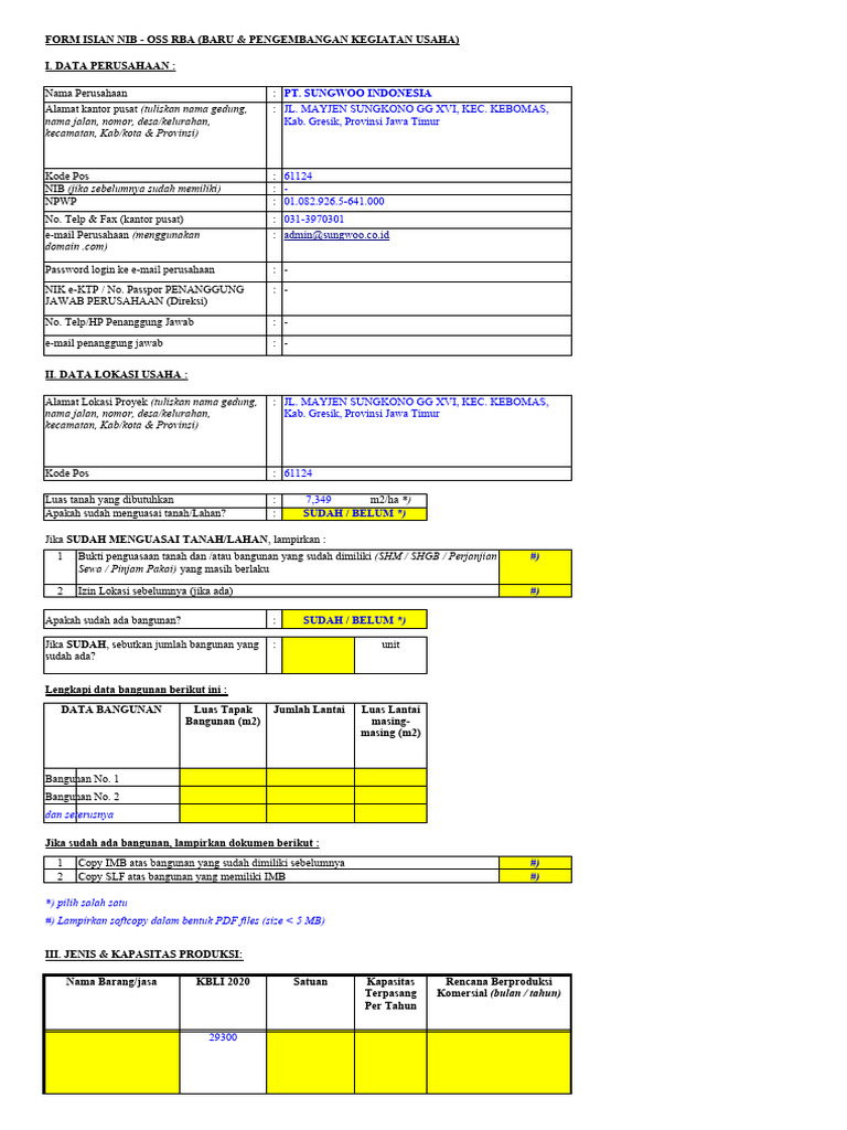 Form Isian NIB (BARU & PENGEMBANGAN USAHA) | PDF
