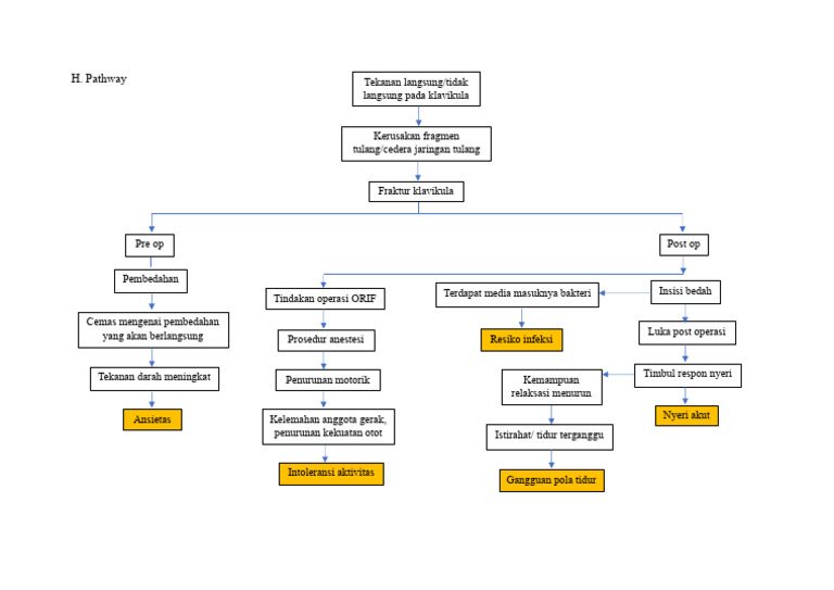 Pathway Fraktur Klavikula | PDF