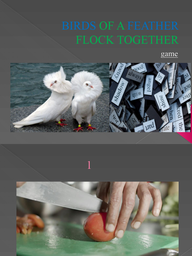 Flock Together Game Instructions | PDF