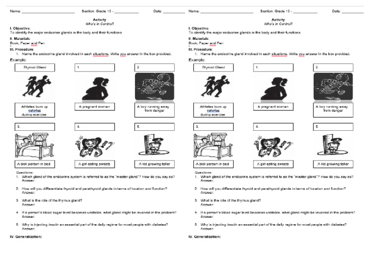 Endocrine Activity | PDF