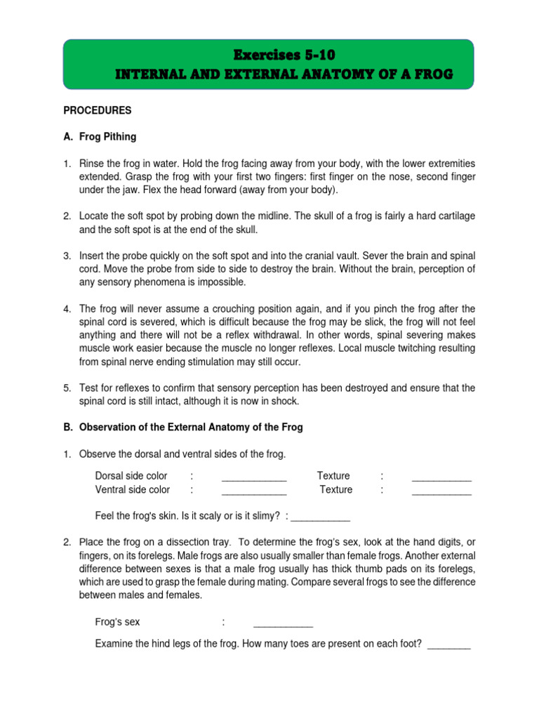 GenZooLab Activity 5 10 Frog Dissection | PDF