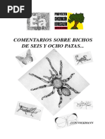 Recorrido Virtual Museo Entomologia | PDF | Insectos | Lepidópteros