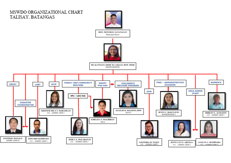 Talisay MSWDO Organizational Chart | PDF