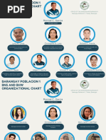 Barangay Census Form | PDF