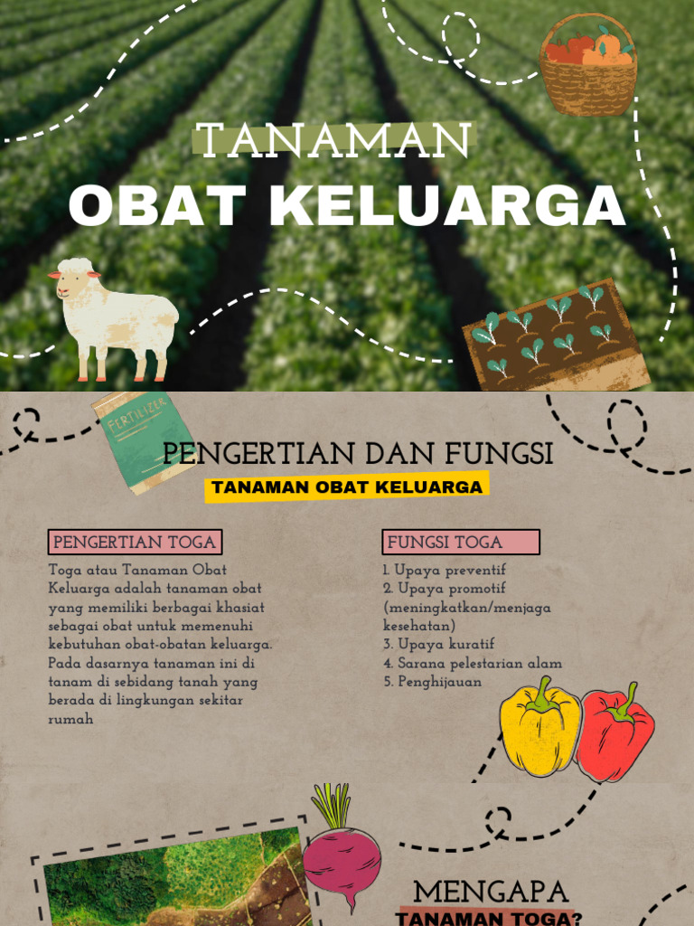 Manfaat dan Cara Membuat Jamu Toga | PDF