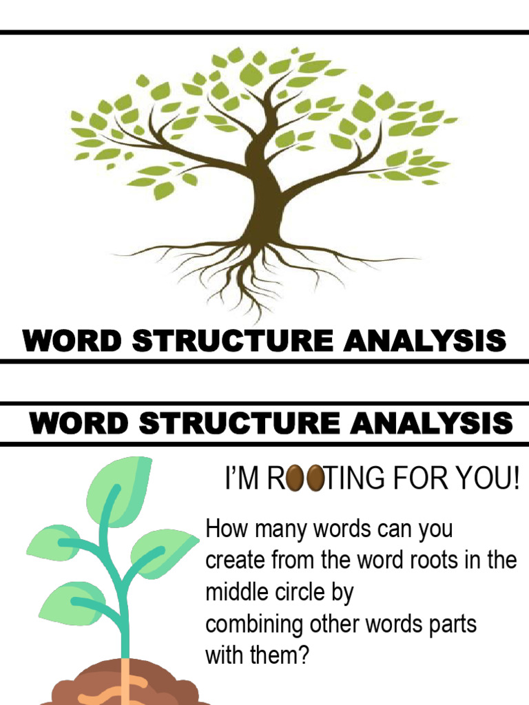 L2 Word Structure Analysis | Download Free PDF | Word | Linguistic Typology