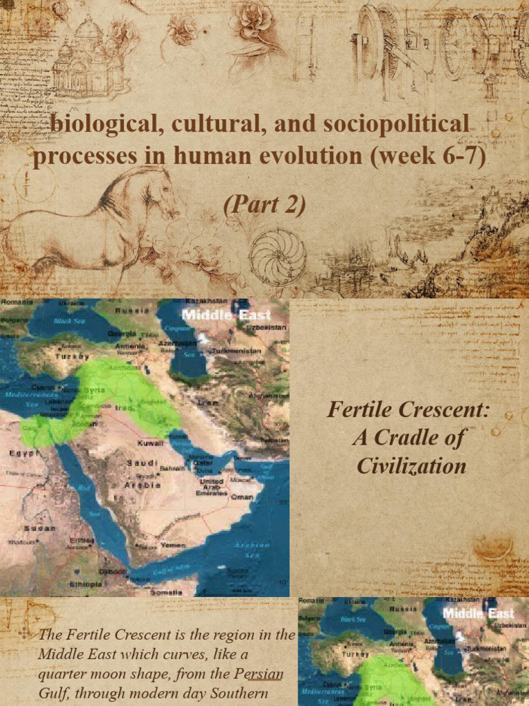 Human Evolution & Early Civilizations | PDF | Democracy | Political Ideologies
