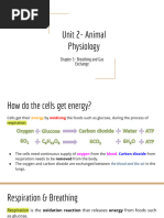 Structure and Function of The Gas Exchange System - Respiration and Gas ...