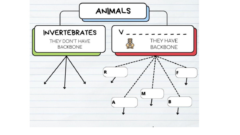 Esquema Animals | PDF