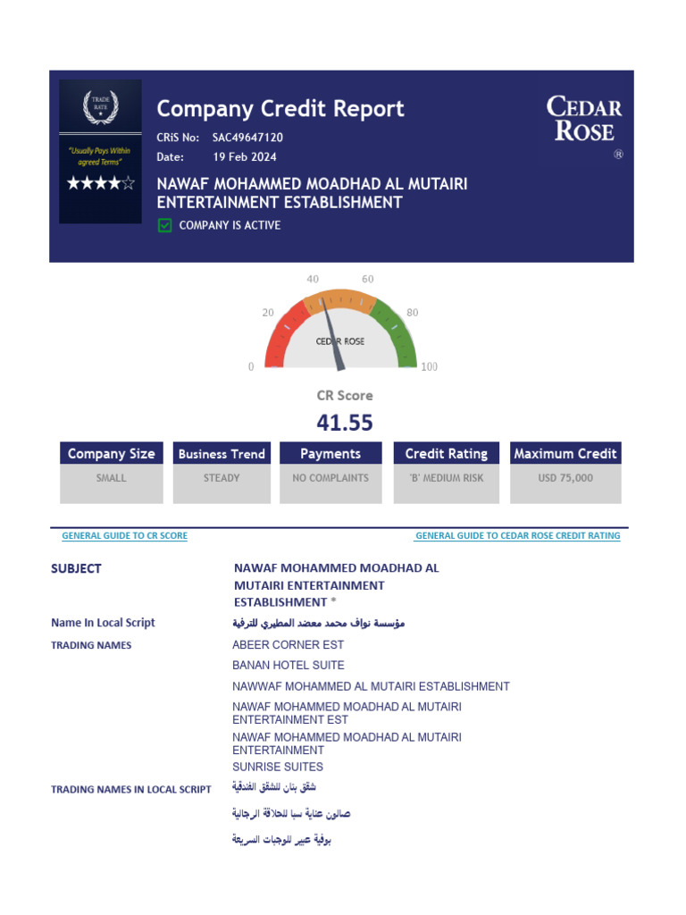 SAC49647120-Company Credit Report | PDF