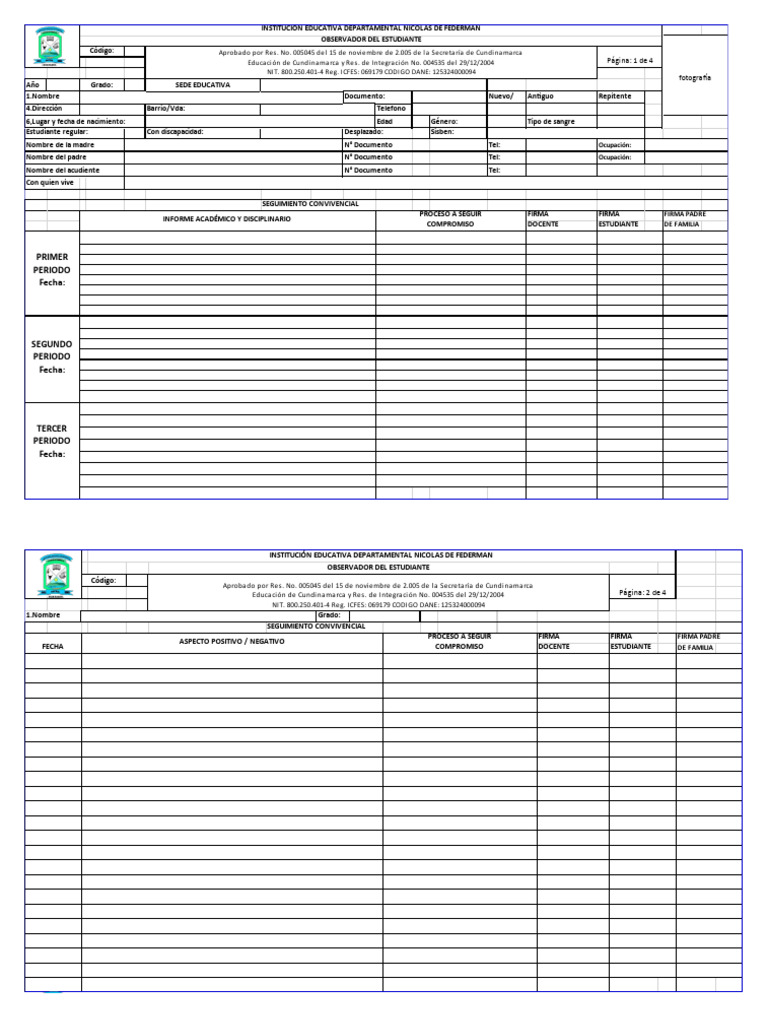 Formato de Observador para Llenar A Mano | PDF