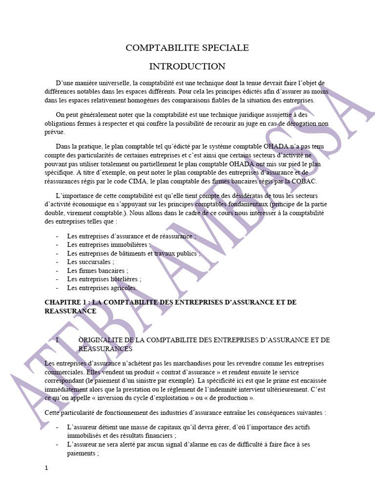 Comptabilité Spéciale des Assurances | PDF | Réassurance | Assurance
