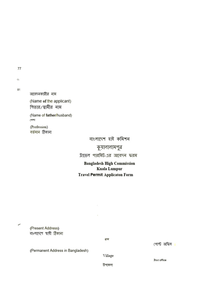 Travel Permit Application Form | PDF