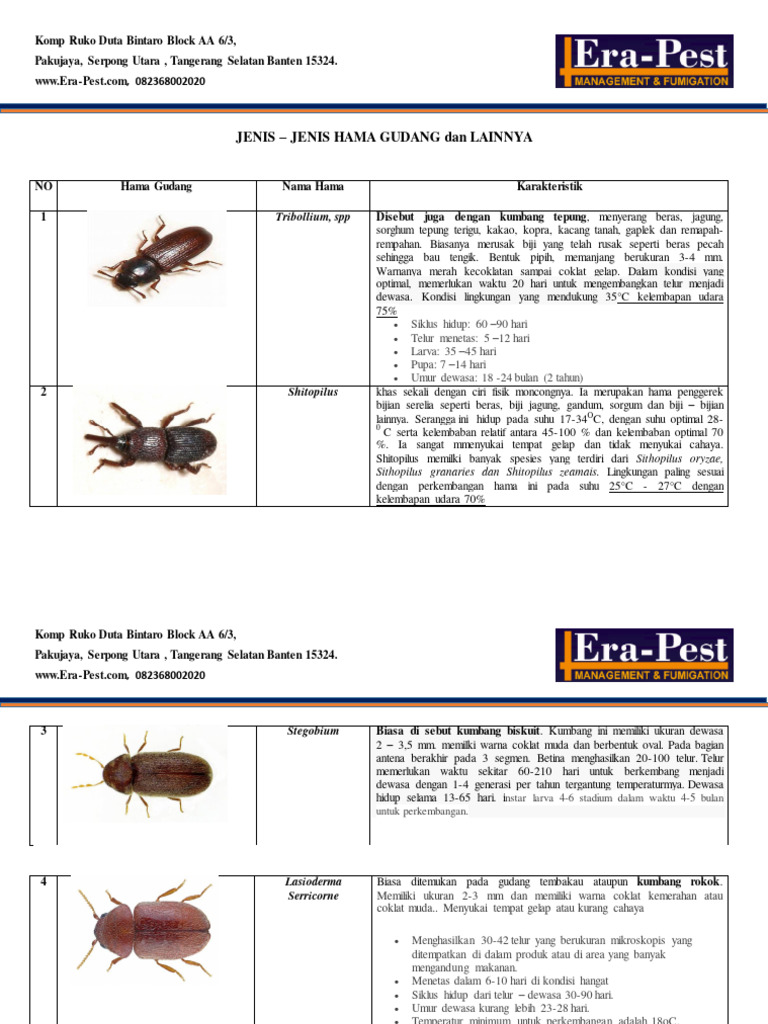 Jenis Jenis Hama Gudang | PDF | Griya & Taman