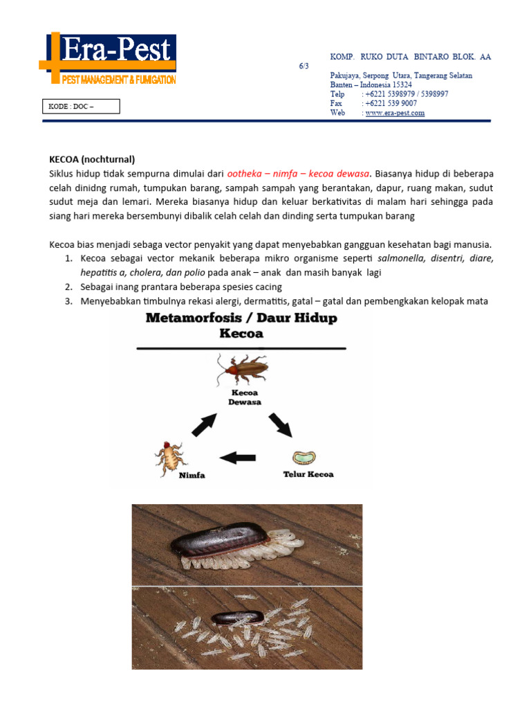 Panduan Lengkap Pengendalian Kecoa | PDF