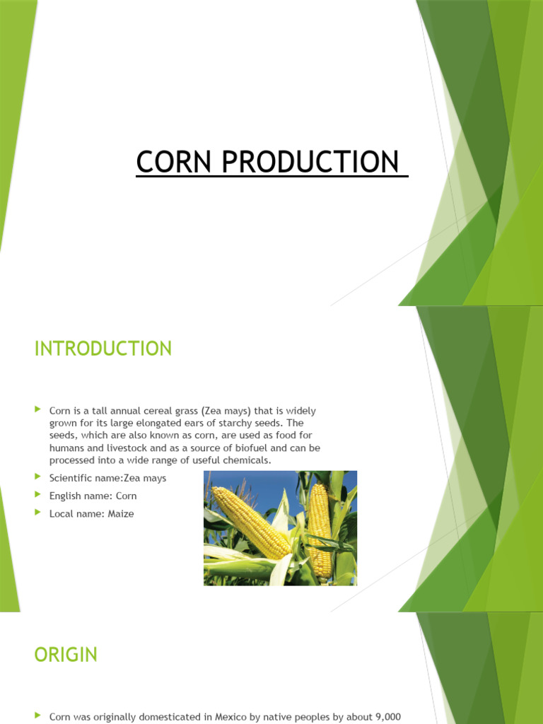 CORN PRODUCTION (Final) | PDF