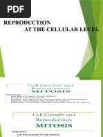 Oreo Mitosis Lab | PDF | Mitosis | Cell Biology