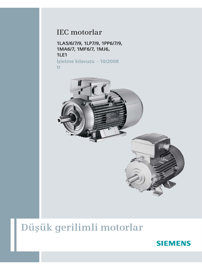 IEC Motor Tuerkisch | PDF