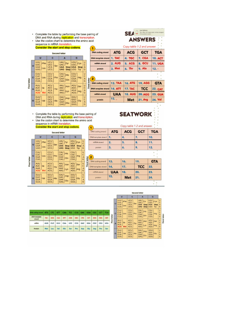 Genetic Coding | PDF
