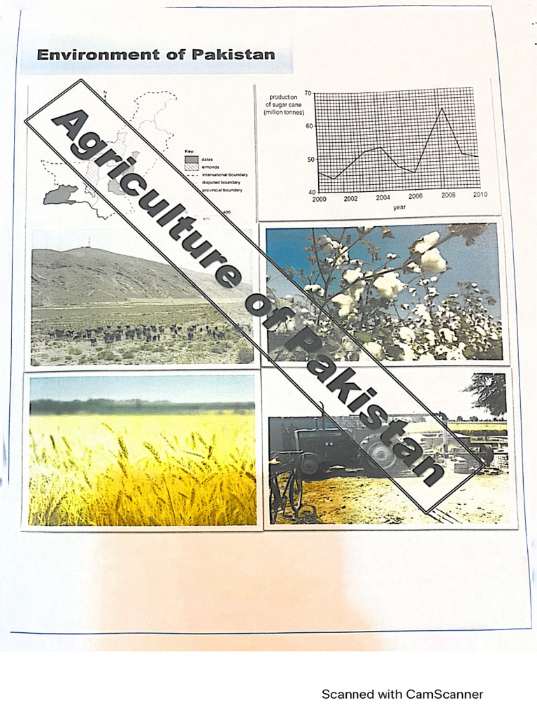 Arif Rasheed Geography | PDF
