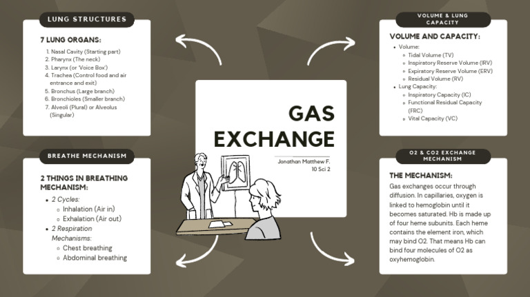 Gas Exchange Mind Map | Download Free PDF | Breathing | Lung