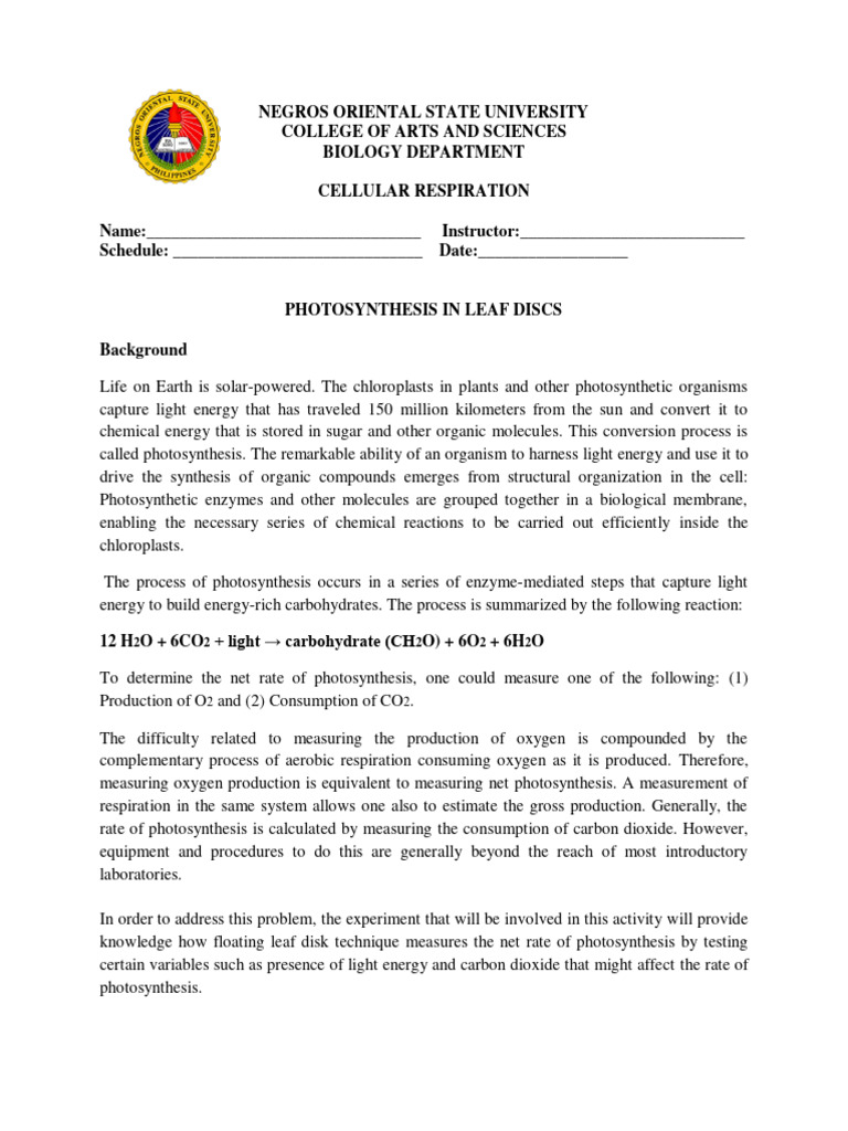 Photosynthesis Lab Activity | PDF | Photosynthesis | Sodium Bicarbonate