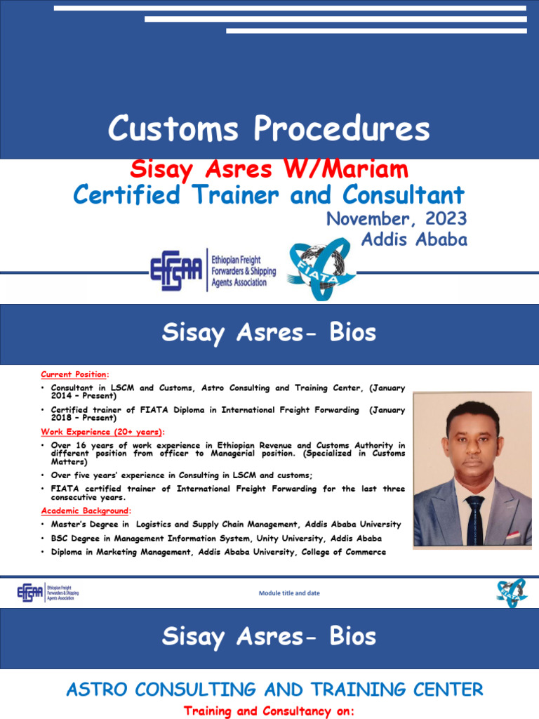 Customs Procedure Presentation | PDF