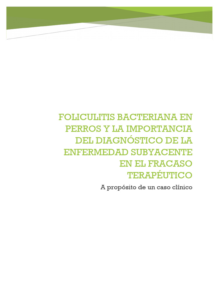 Foliculitis Bacteriana en Perros: Diagnóstico Clave | PDF | Alergia ...