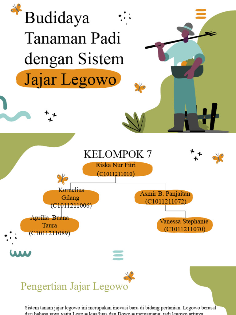 Jajar Legowo | PDF