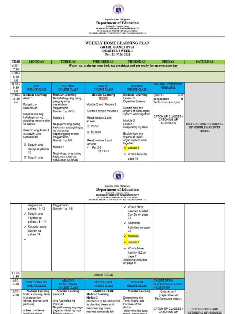 WHLP Vi Amethyst q2 Week 2 | PDF | Cognition | Learning