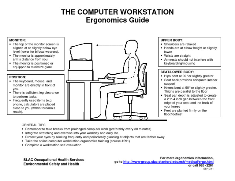 Ergo Printout Guide | PDF