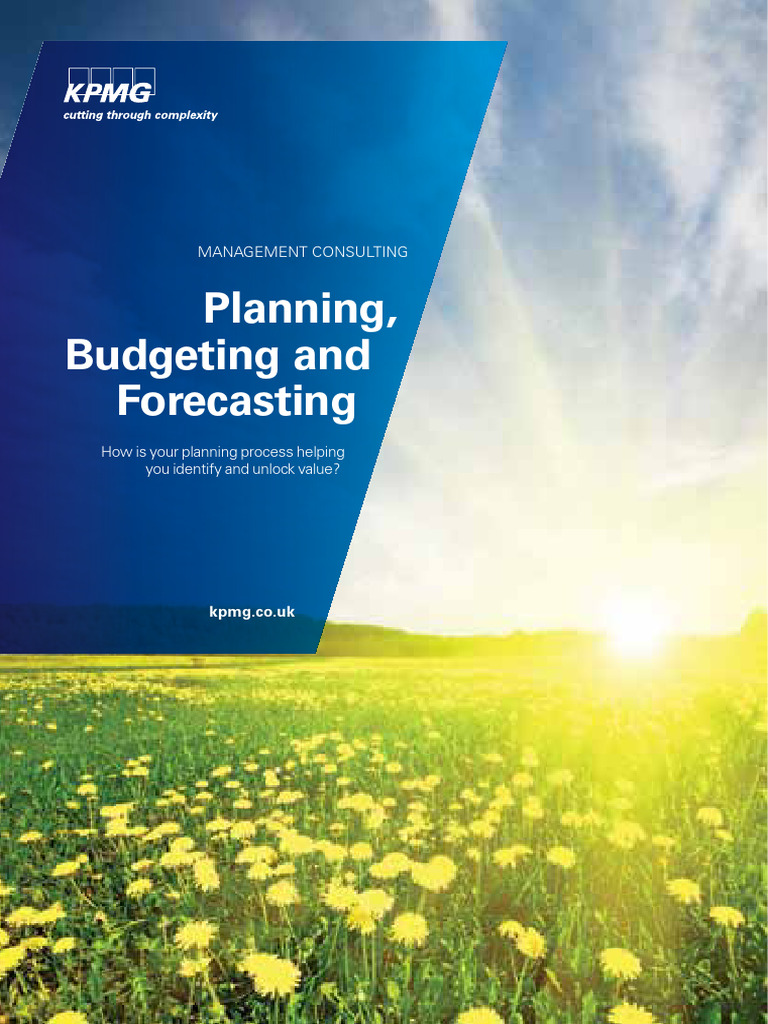 Planning, Budgeting and Forecasting | PDF