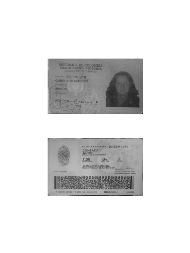 True Scanner Dec 31 2023 | PDF