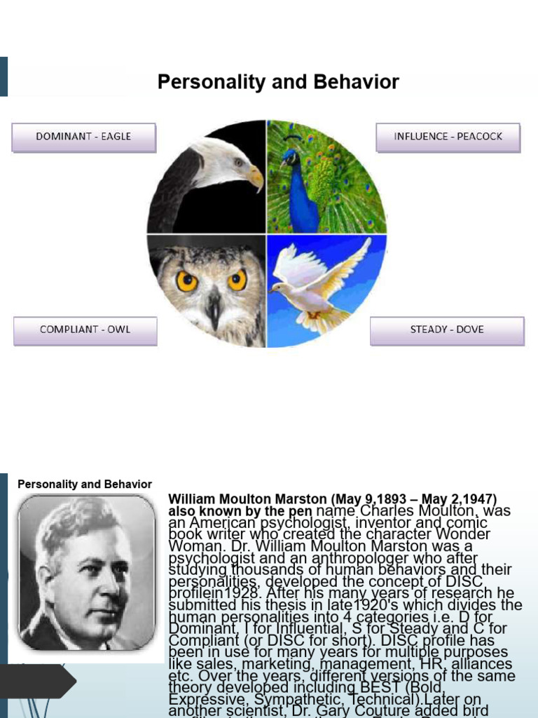 Personality Identification | PDF | Goal | Expert