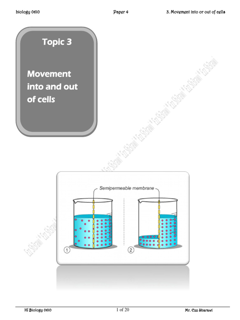 Cell Movement in Biology 0610 | PDF | Biology | Life Sciences