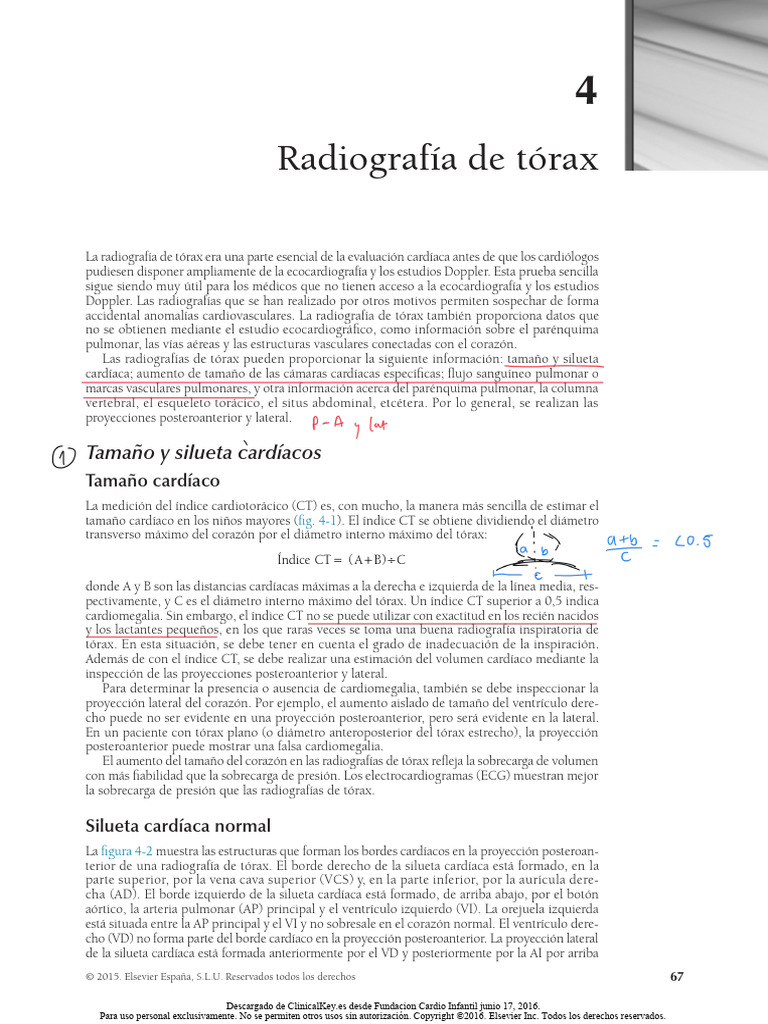 Capitulo 4. Radiografia de Torax | PDF | Corazón | Aorta