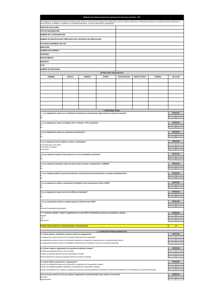 Formato ICO Diagnóstico | PDF | Contabilidad | Mercado (economía)