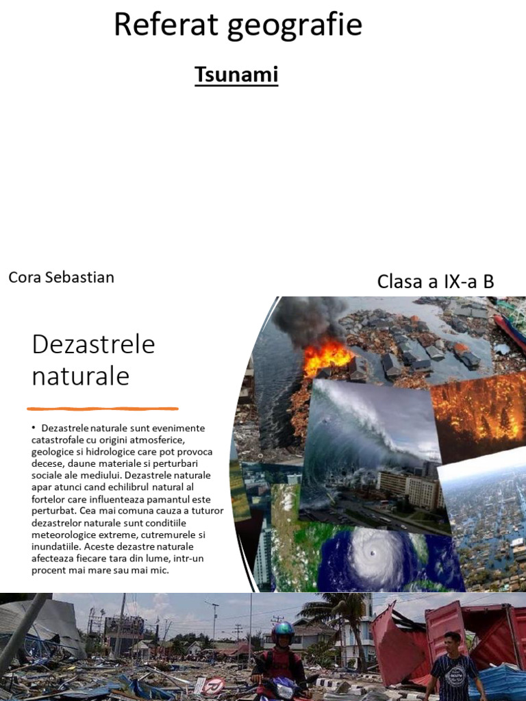 Proiect Geografie | PDF