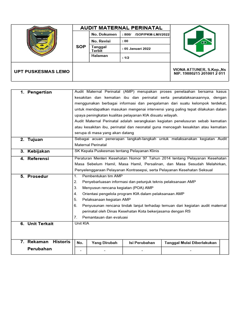 Prosedur Audit Maternal Perinatal | PDF
